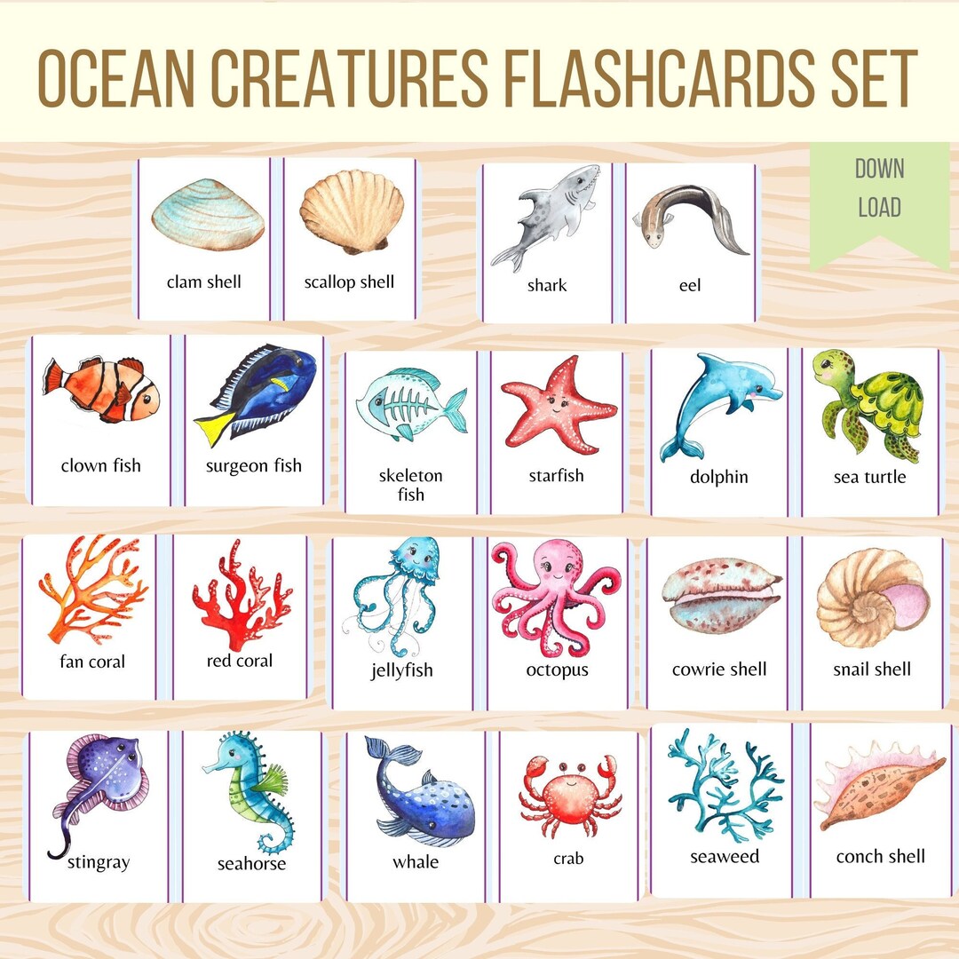 SEA CREATURE FLASHCARDS Printable Watercolor Fish - Etsy