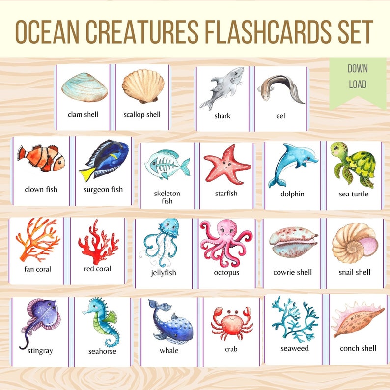 SEA CREATURE FLASHCARDS Printable Watercolor Fish - Etsy