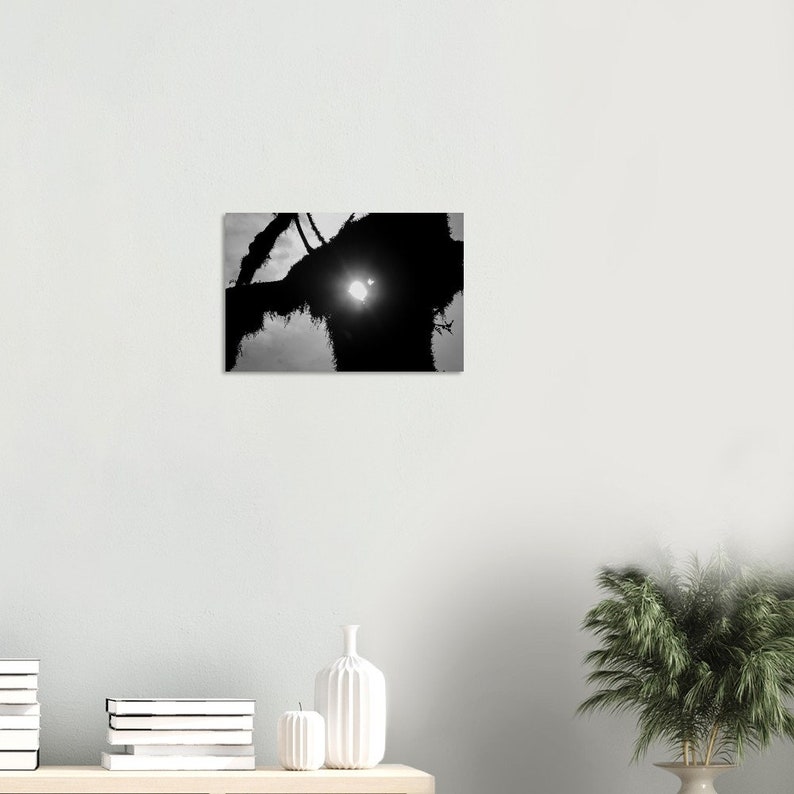 The Tree Light/ Vancouver/ Washington/ Premium Matte Paper Poster - Etsy