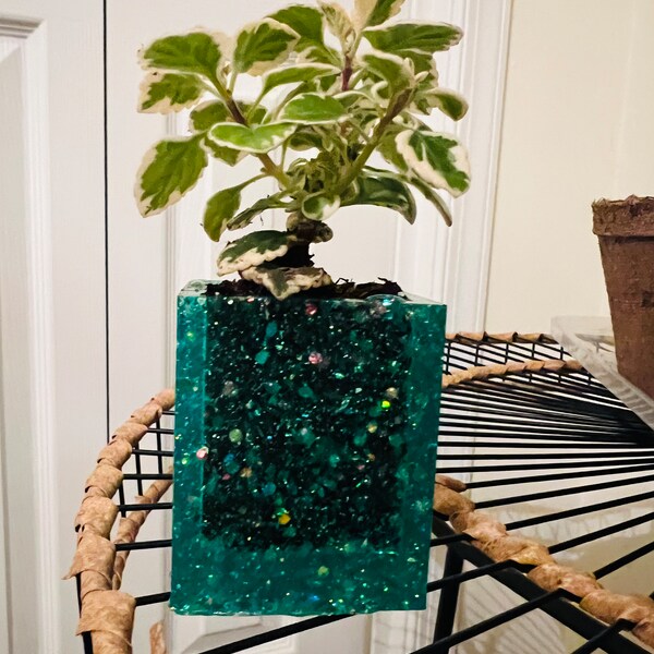 Glitter Flower Pot - Etsy