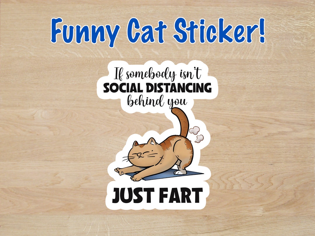 FUNNY CAT STICKER if Somebody Isn't Social Distancing Behind You, Just ...