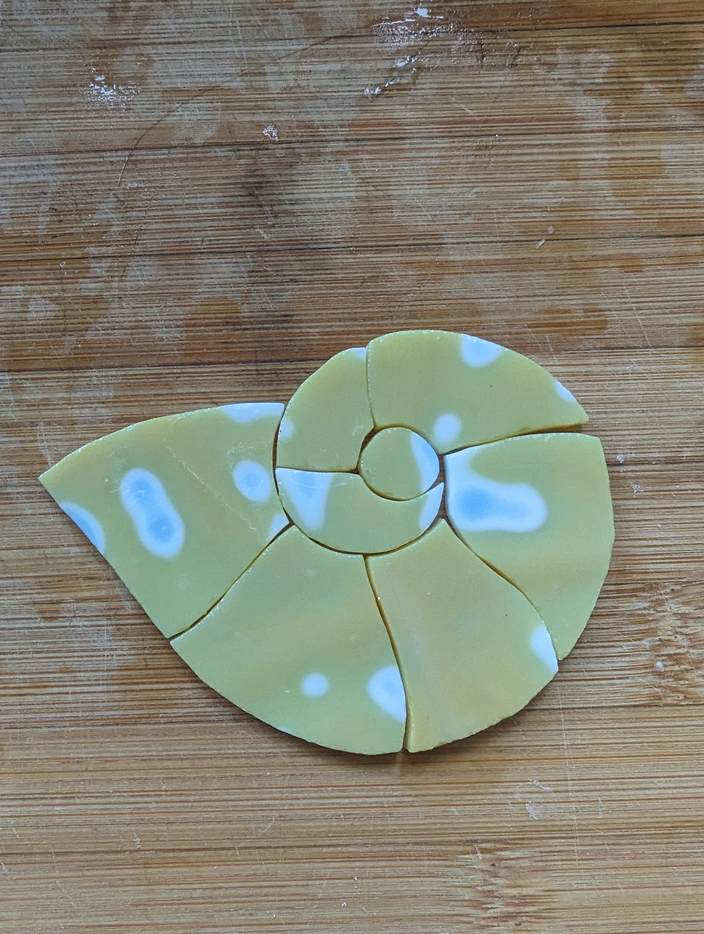 Nautilus Shell Stained Glass Pattern - Etsy