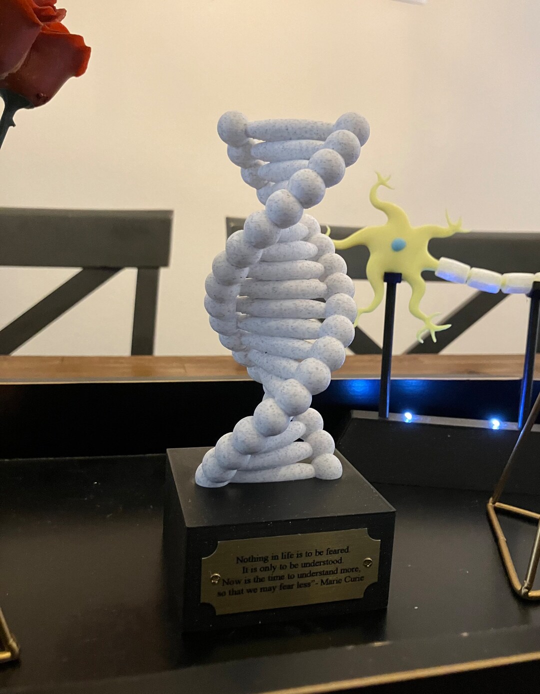 Elegant DNA Model - Etsy