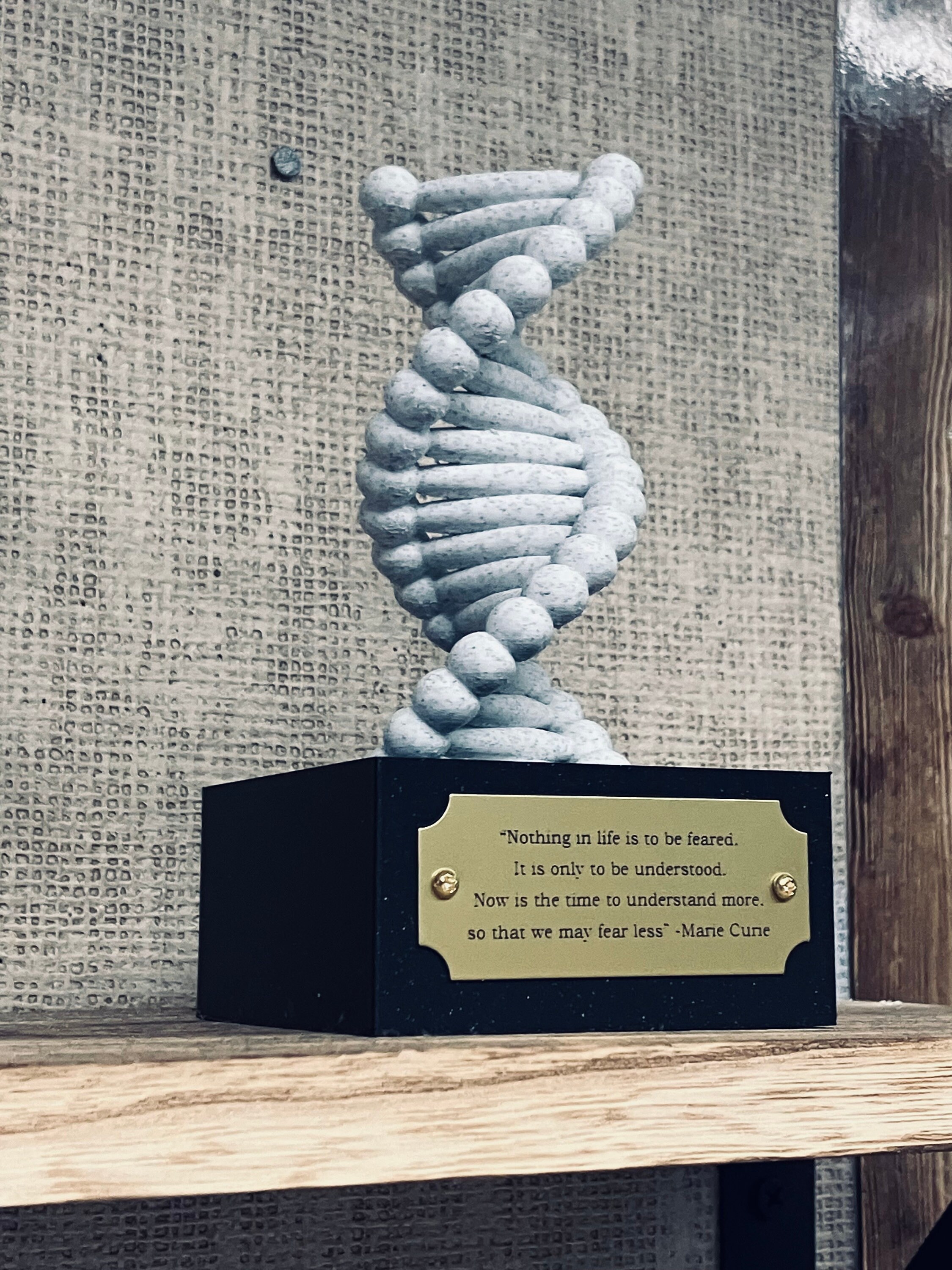 Elegant DNA Model - Etsy