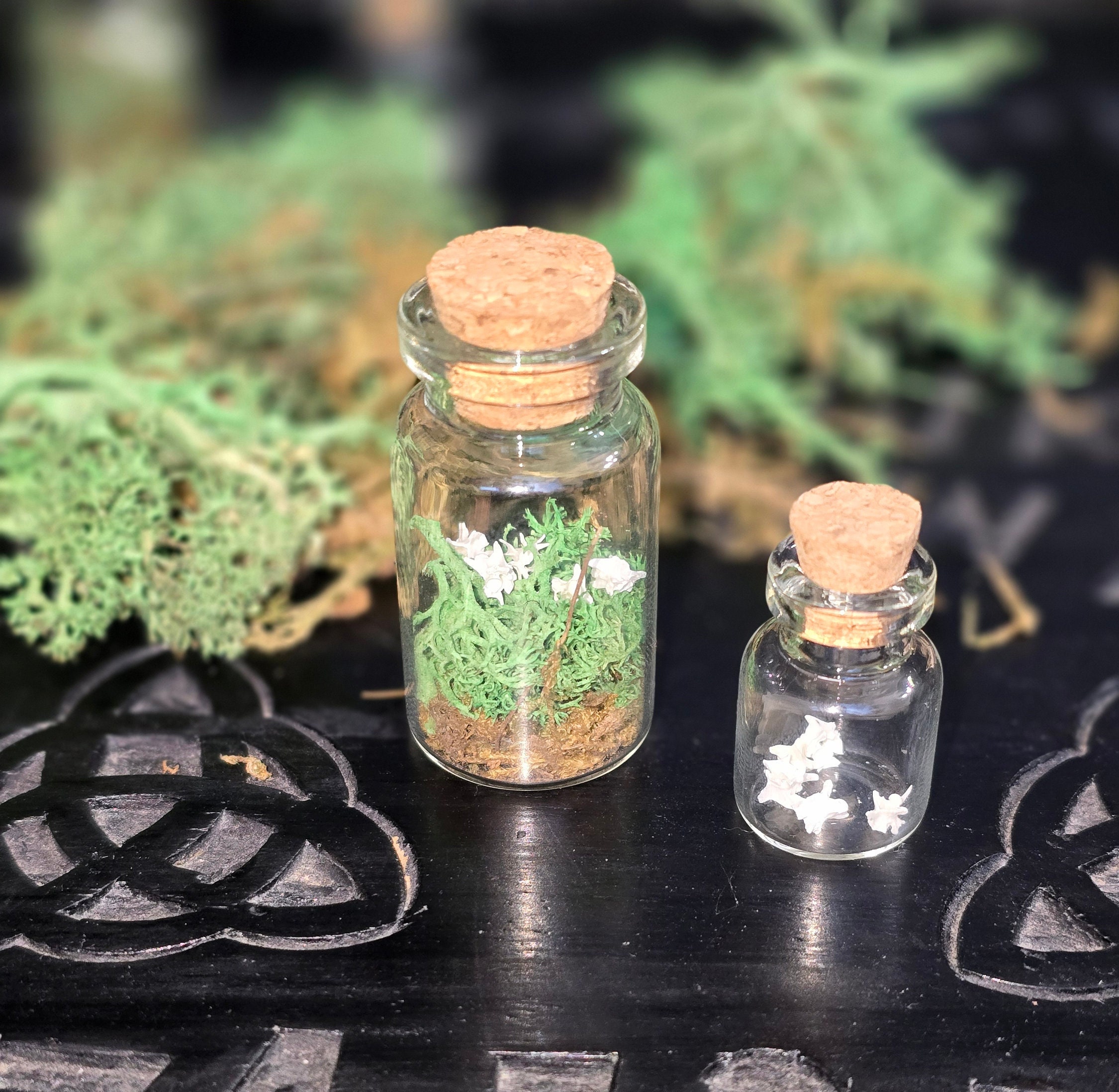 Rattlesnake Vertebrae-tiny Bones-witchcraft Supplies-spell Supplies ...