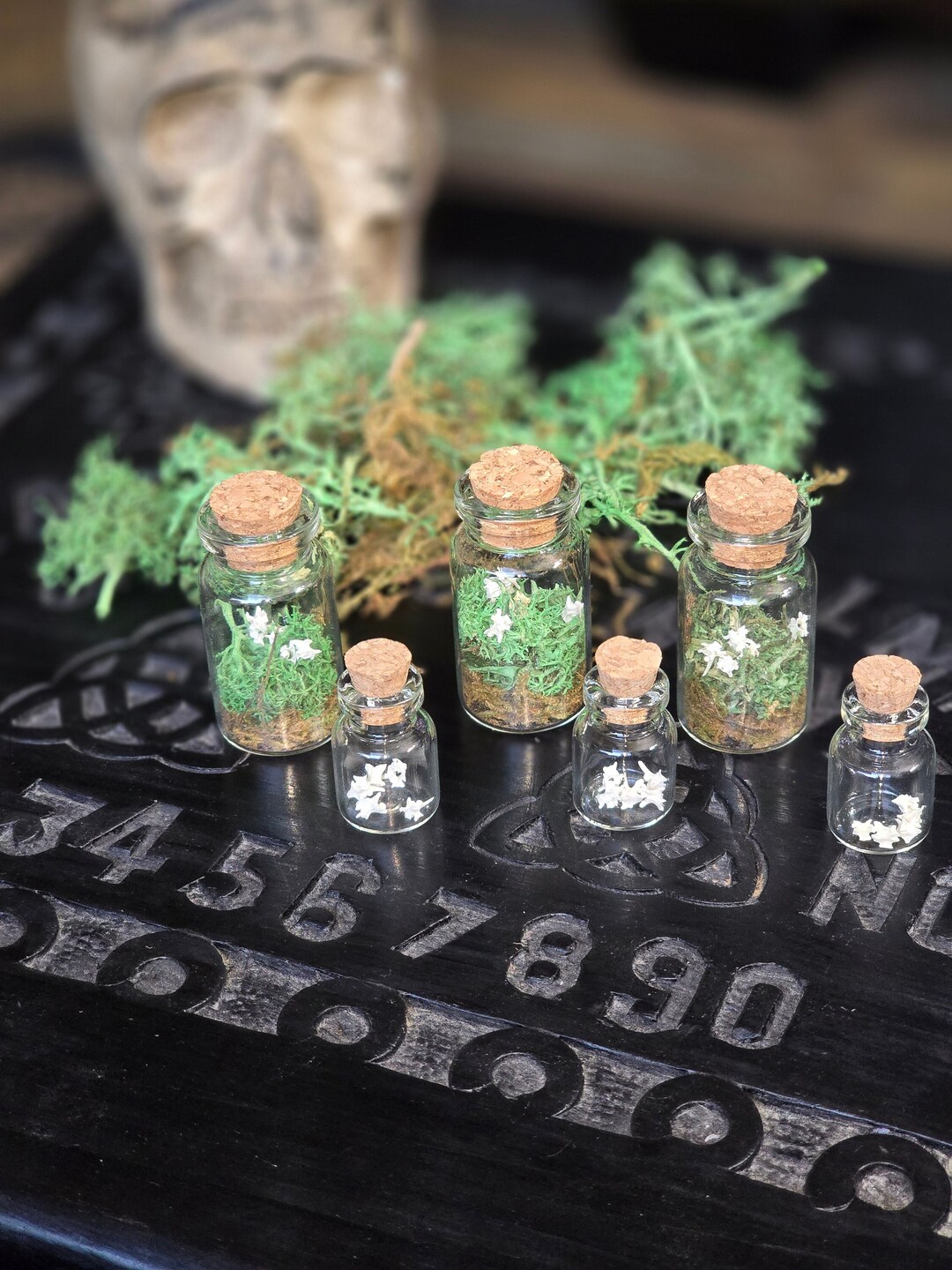 Rattlesnake Vertebrae-tiny Bones-witchcraft Supplies-spell Supplies ...