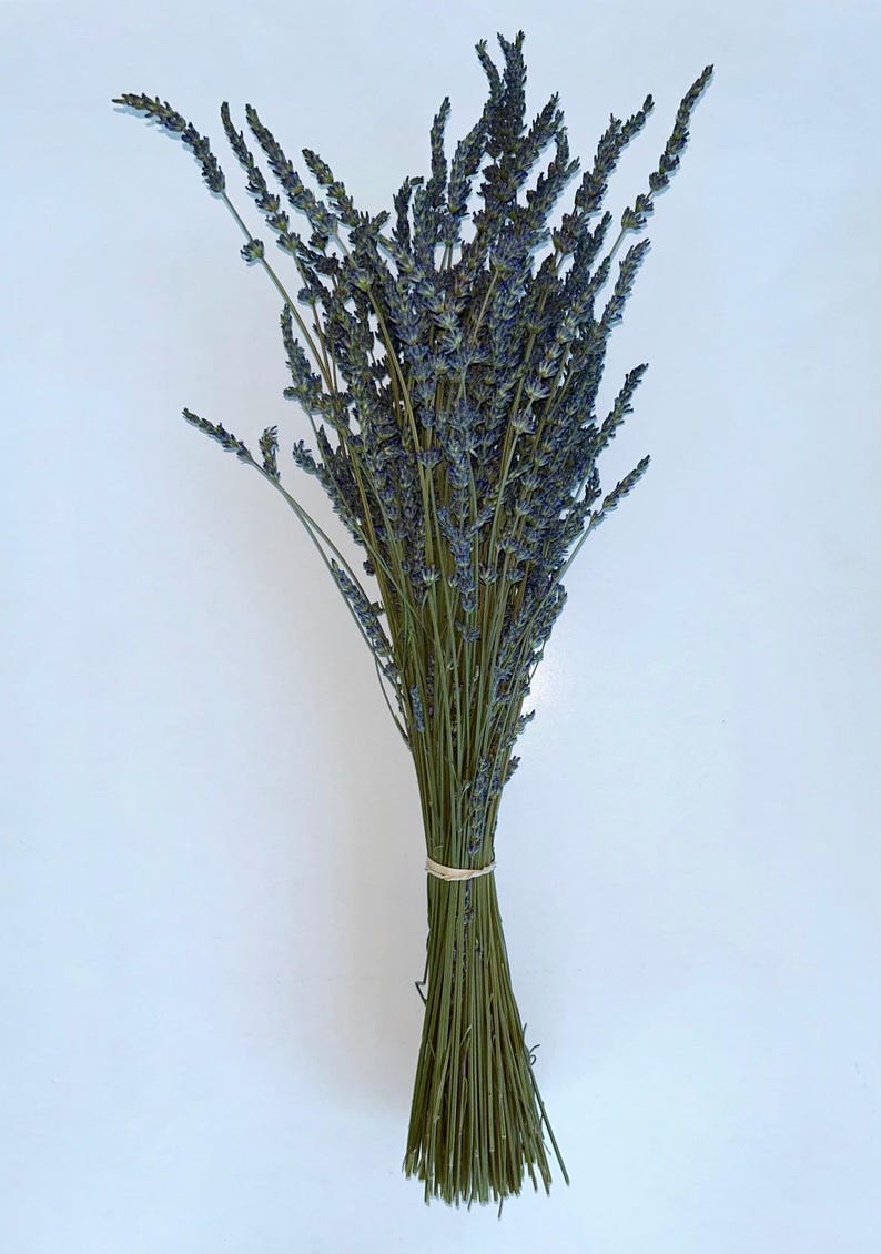 Dried Lavender Bundle, Wedding Bunch, Home Decor - Etsy