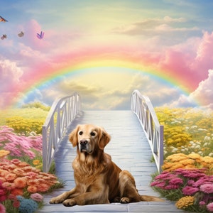Personalized Rainbow Bridge Pet Memorial DIGITAL DOWNLOAD Pet Loss Gift ...