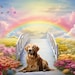 Personalized Rainbow Bridge Pet Memorial DIGITAL DOWNLOAD Pet Loss Gift ...