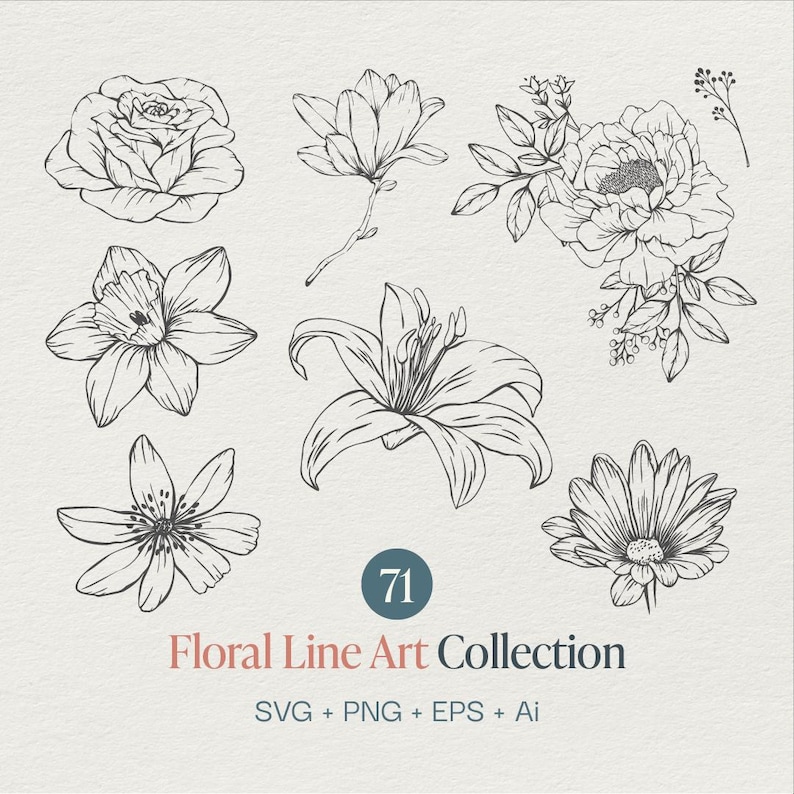 Floral Line Art Clipart: Wreaths, Frames, and Graphics (SVG, PNG) - Etsy