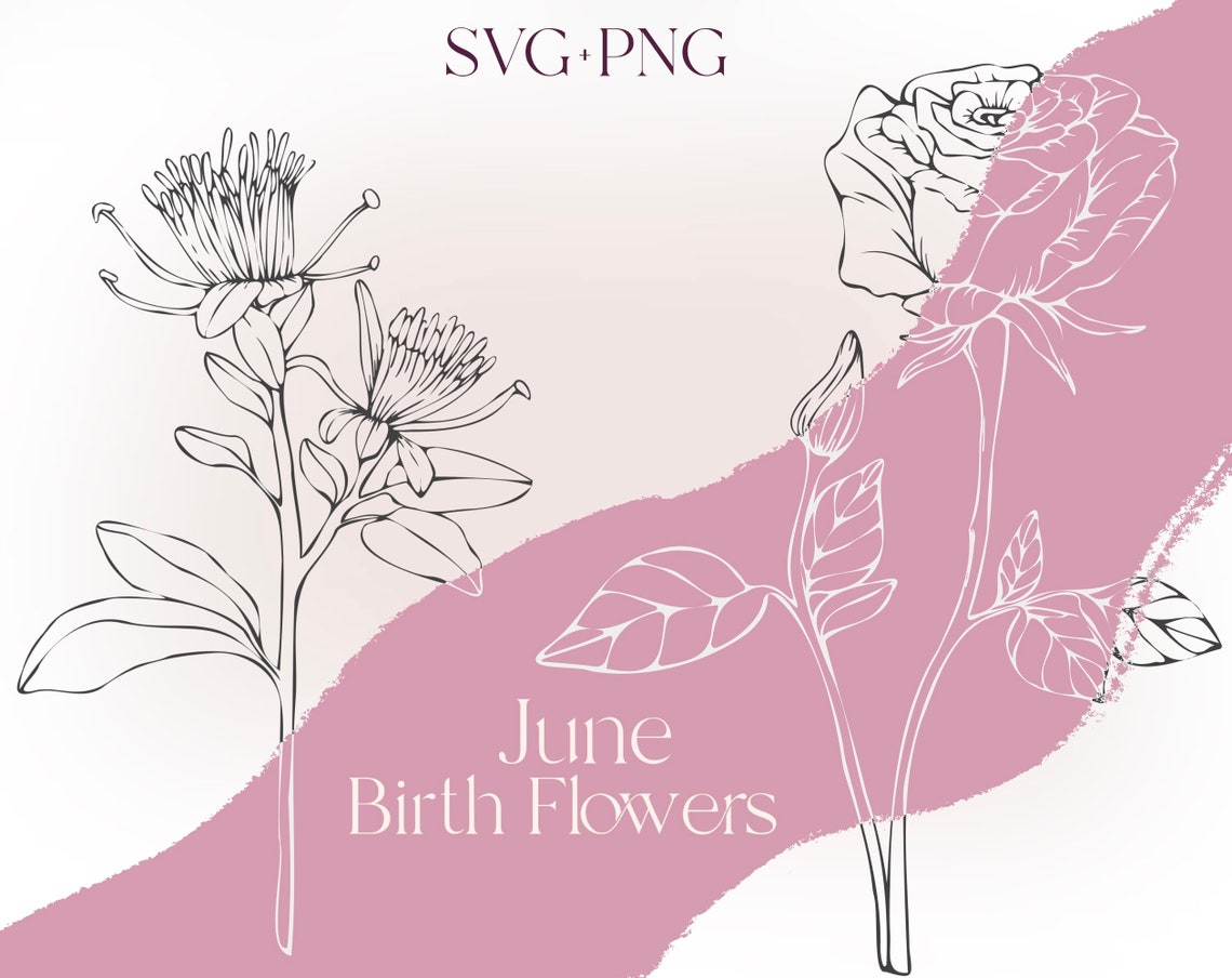 June Birth Flower SVG, Birth Flower Tattoo, Bouquet SVG - Etsy