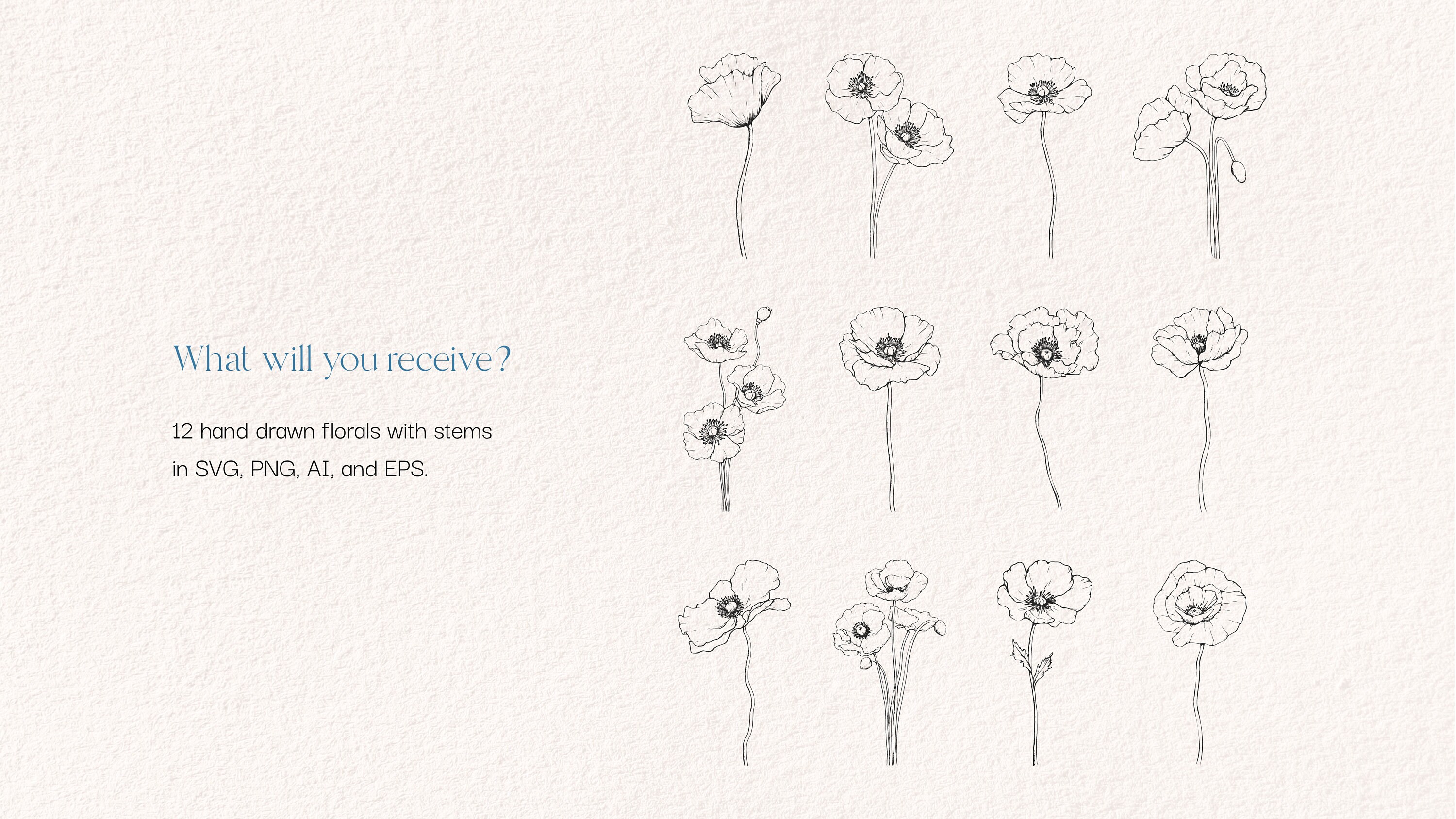 Poppy Line Art Clipart 31 Wildflower Designs in Png, Svg, Ai, EPS ...