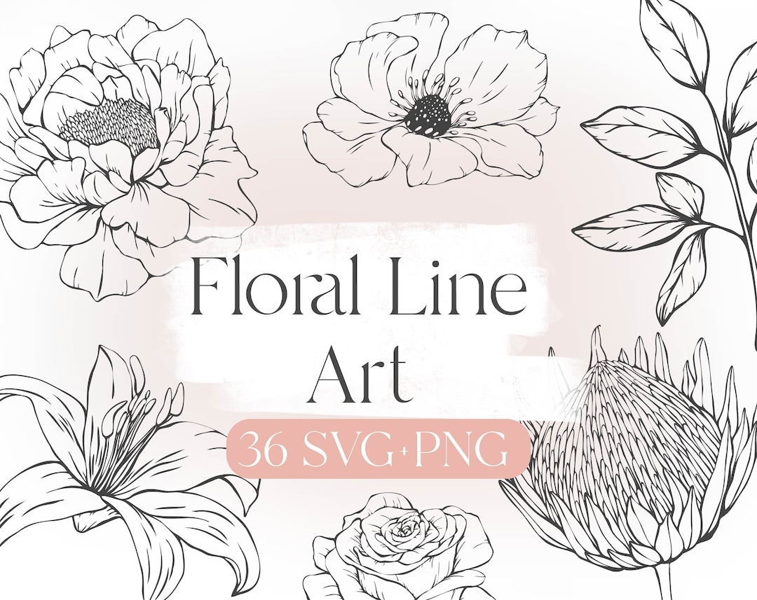 Floral Line Art SVG: Botanical Flower Outline Clipart (36 PNG & SVG) - Etsy