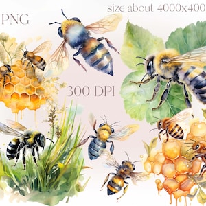 Watercolor Honey Bee Clipart PNG Summer Clipart Bumble Bee PNG Honey ...