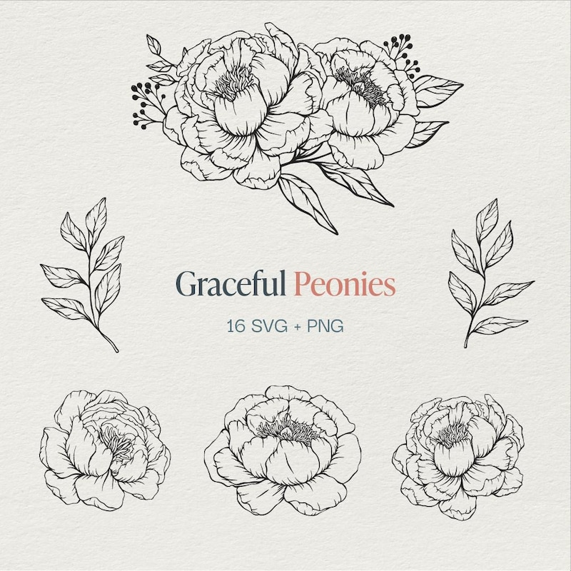 Peony Svg - Etsy