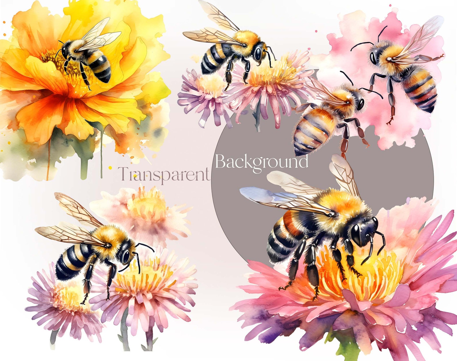 Watercolor Honey Bee Clipart PNG Summer Clipart Bumble Bee PNG Honey ...