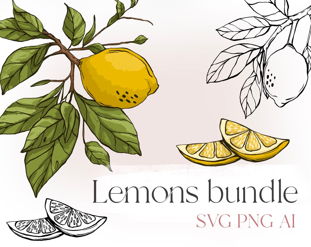 Lemon SVG PNG AI Clipart Bundle, Line Art and Ink Illustrations - Etsy