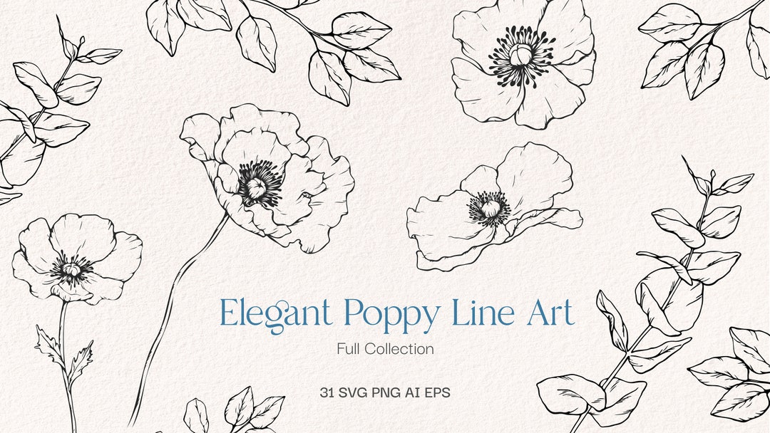 Poppy Line Art Clipart – 31 Wildflower Designs in Png, Svg, Ai, EPS ...