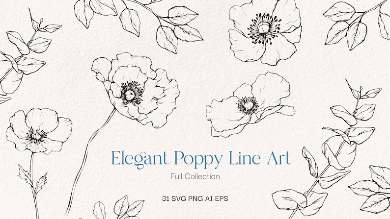 Poppy Line Art Clipart 31 Wildflower Designs in Png, Svg, Ai, EPS ...