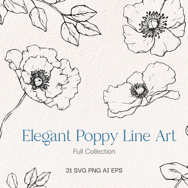 Poppy Line Art - Etsy