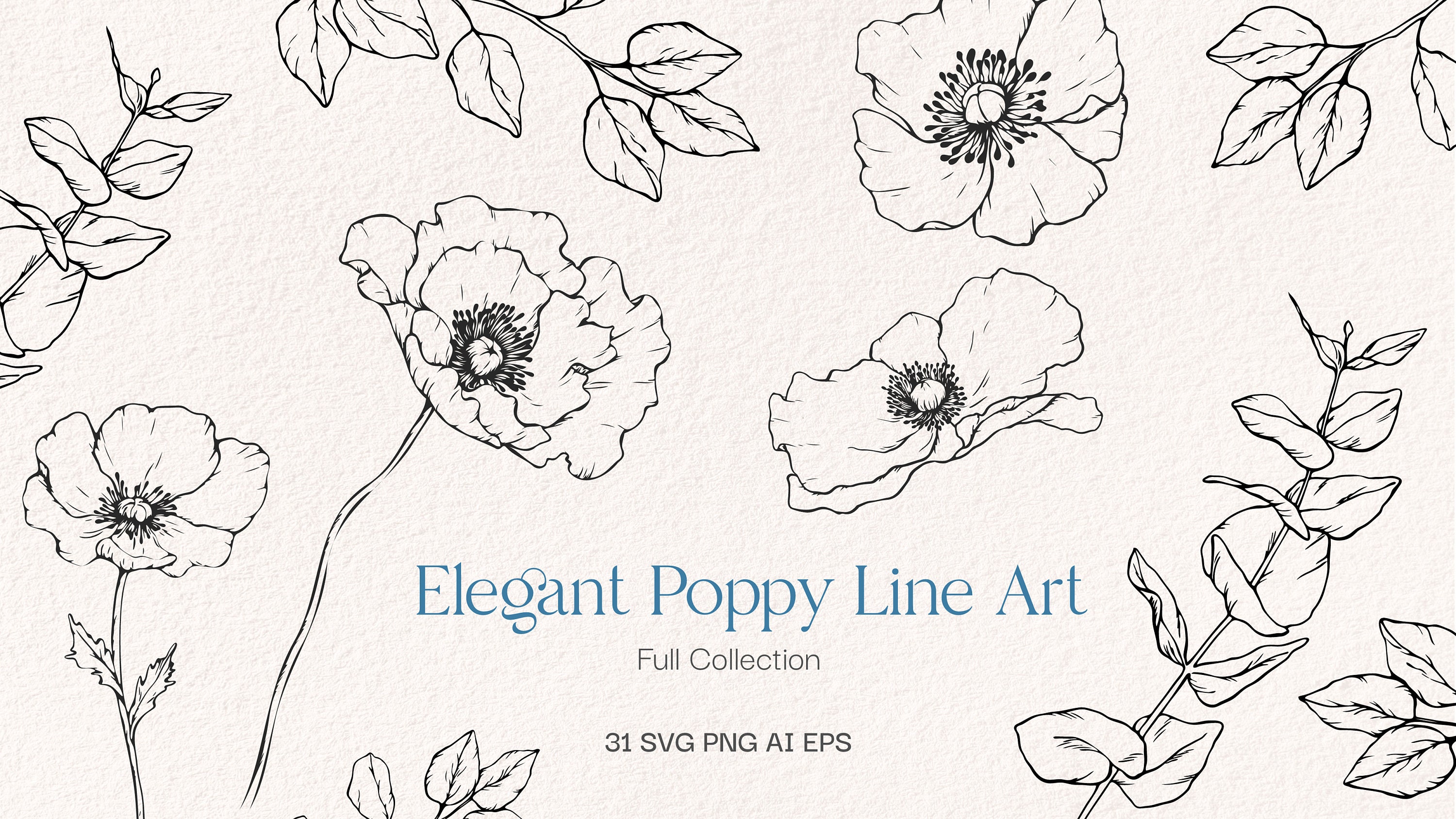 Poppy Line Art Clipart – 31 Wildflower Designs in Png, Svg, Ai, EPS ...