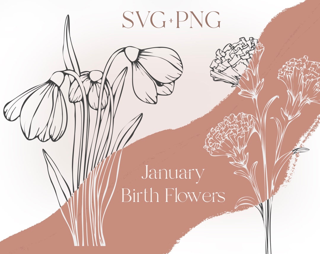 January Birth Flower SVG, Birth Flower Tattoo, Bouquet SVG - Etsy