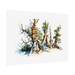 Bristlecone Pine Trees 2 Watercolor Print - Etsy