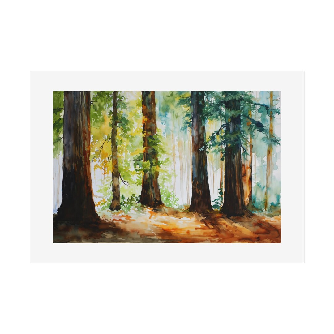 Redwood Tree Grove #1 Watercolor Print - Etsy