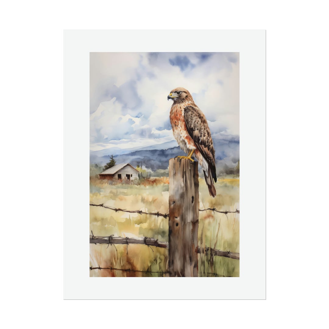 Red-tailed Hawk #1 Watercolor Print - Etsy