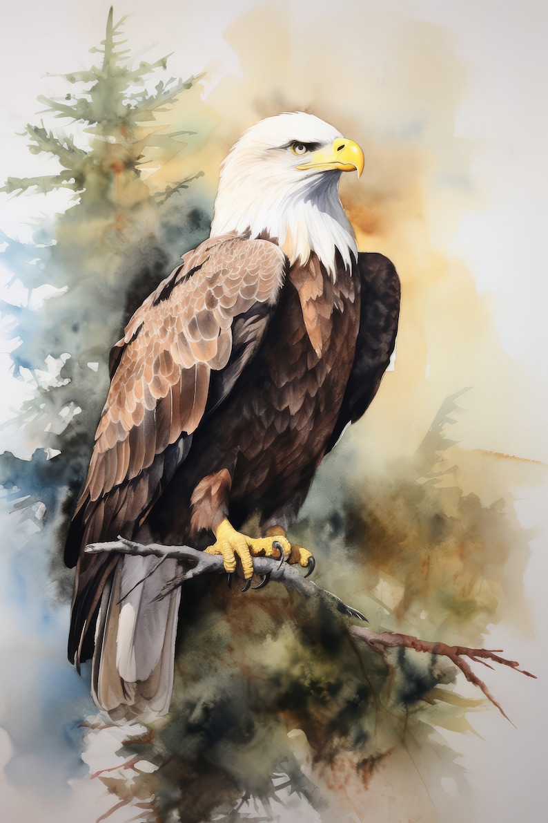 Bald Eagle 1 Watercolor Print - Etsy