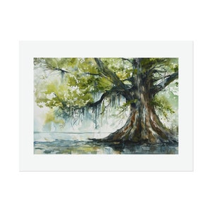 Cypress Tree - Etsy