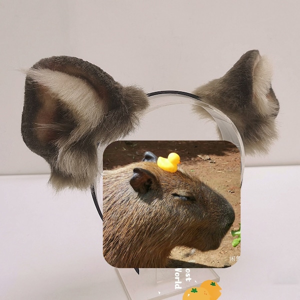 Furry Capybara - Etsy