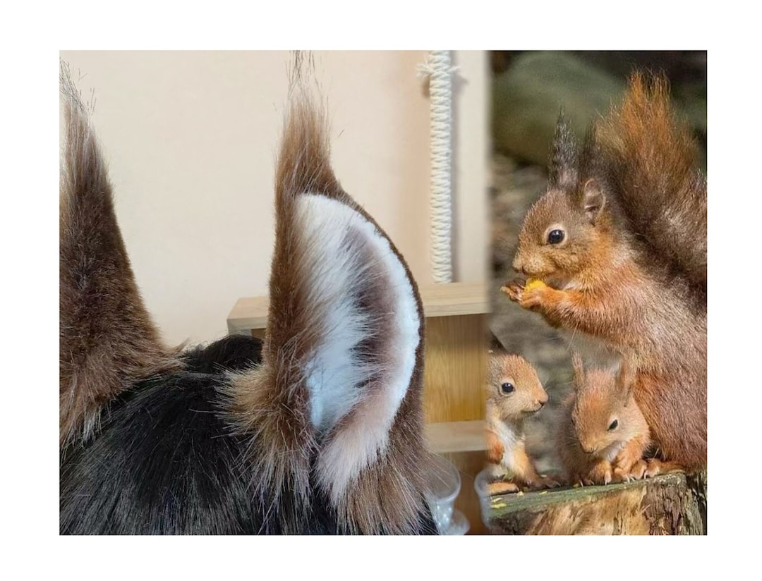 Handmade Squirrels Ears Tail Set, Cute Brown Striped Squirrel Tail ...