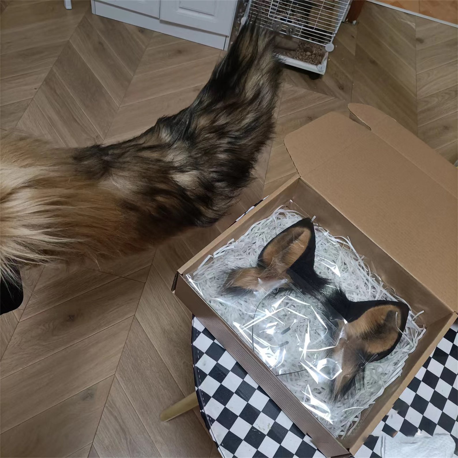 Handmade German Shepherd Ears Tail Set, Furry Dog Ears Hairband, Black ...