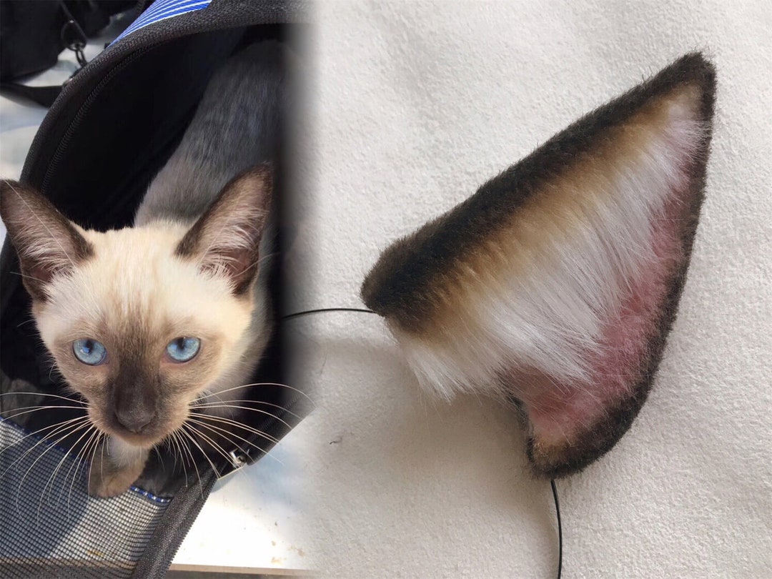 Handmade Siamese Cat Ears Tail Furry Faux Fur Cute Animal Cat Kitten ...