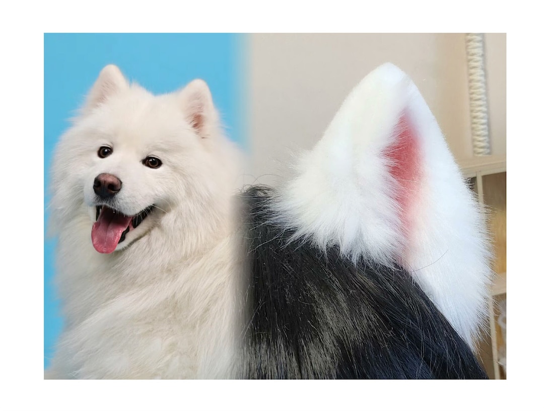 Handmade Samoyed Ears Tail Set, Dog Puppy Ears Hairband White Pink ...