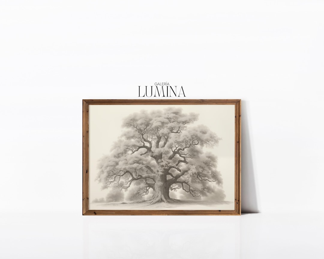 Old Oak Tree Pencil Drawing Vintage Oak Tree Sketch Neutral Botanical ...