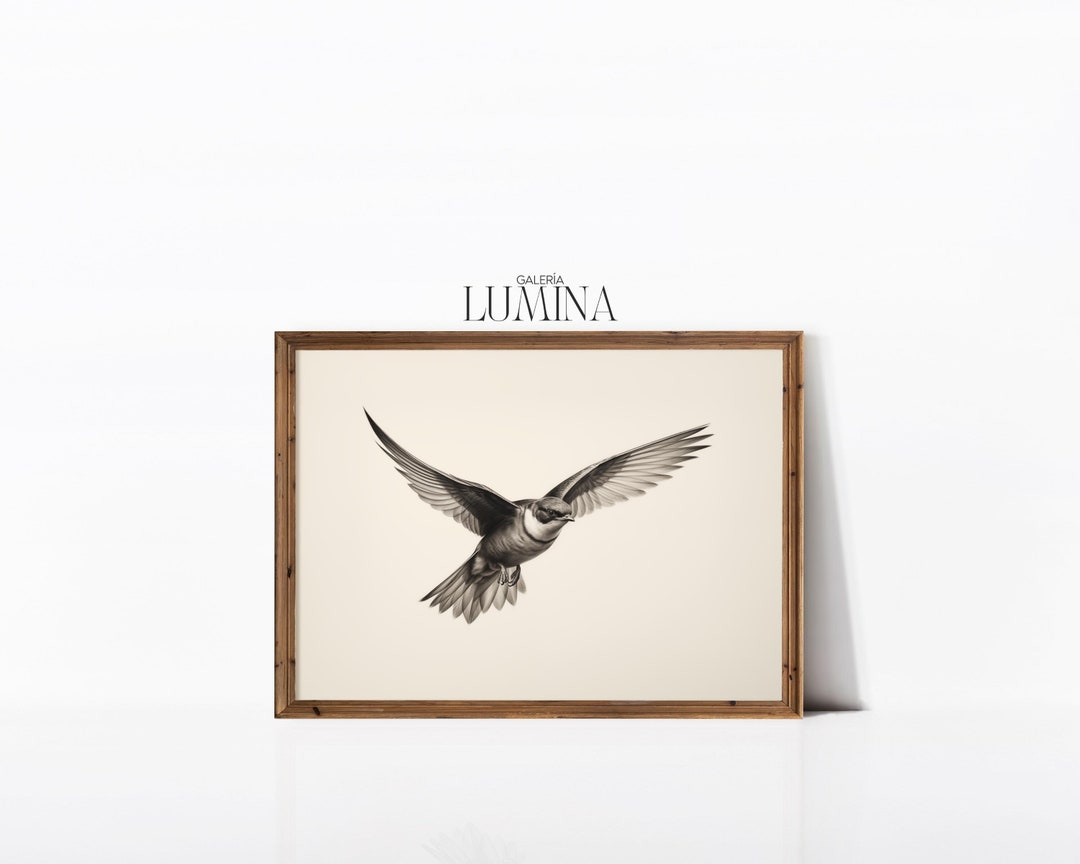 Swallow Realistic Drawing Vintage Swallow Bird Monochrome Print Neutral ...
