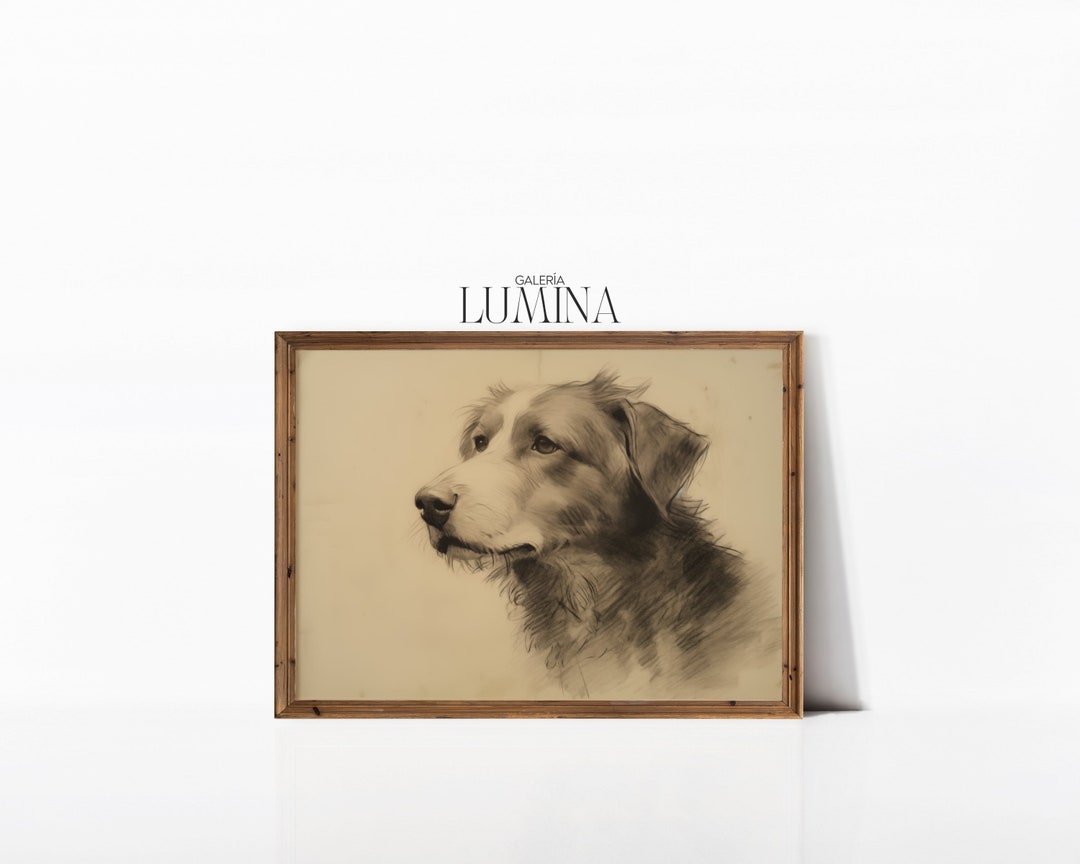 Vintage Old Dog Pencil Drawing Antique Dog Sketch Art Print Animal ...
