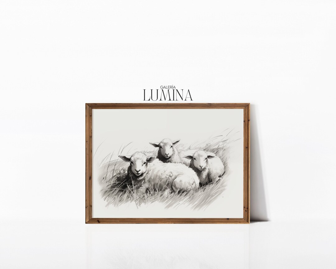 Baby Sheep Drawing Nursery Room Sketch Rustic Farmhouse Kitchen Decor ...