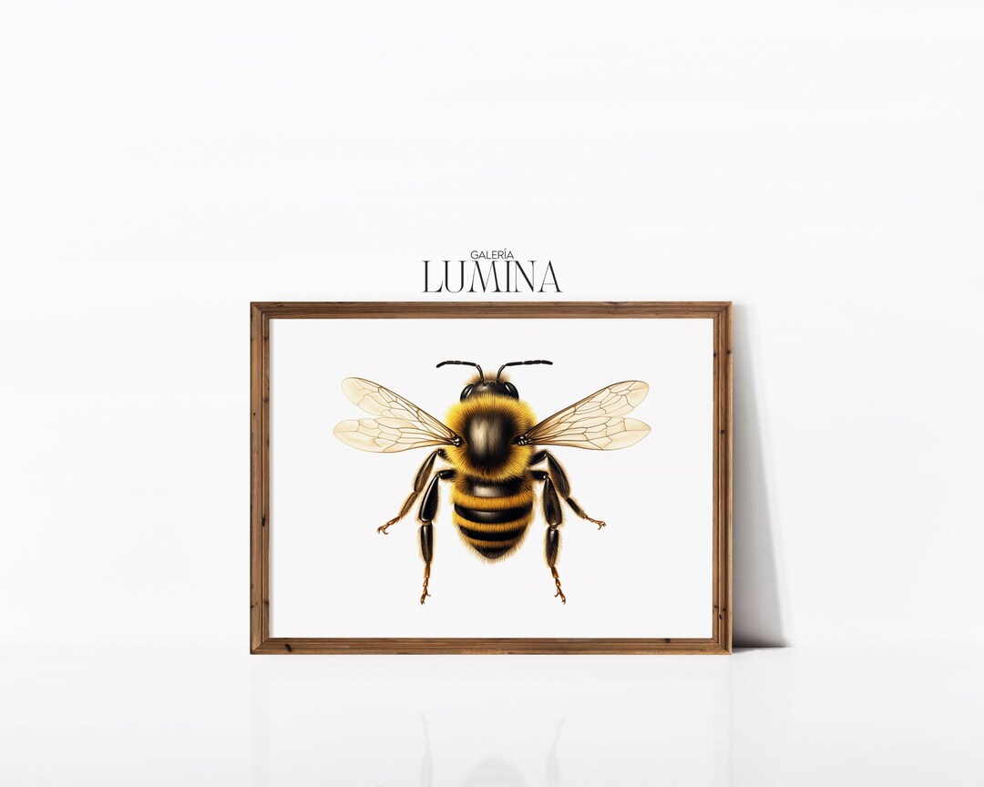 Vintage Bumblebee Illustration Minimalist Bumblebee Drawing Antique ...
