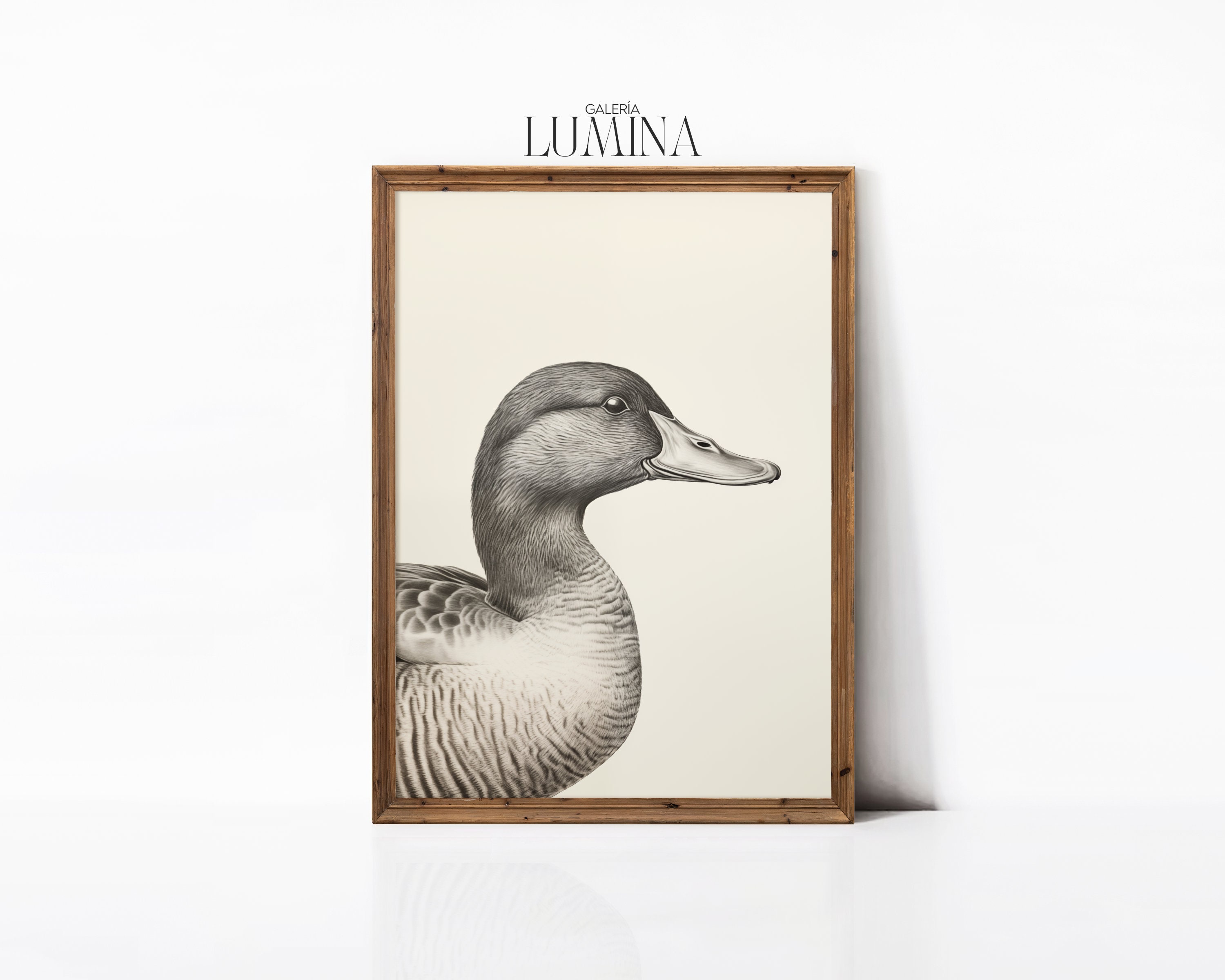 Duck Pencil Drawing American Black Duck Sketch Art Vintage Animal Print ...
