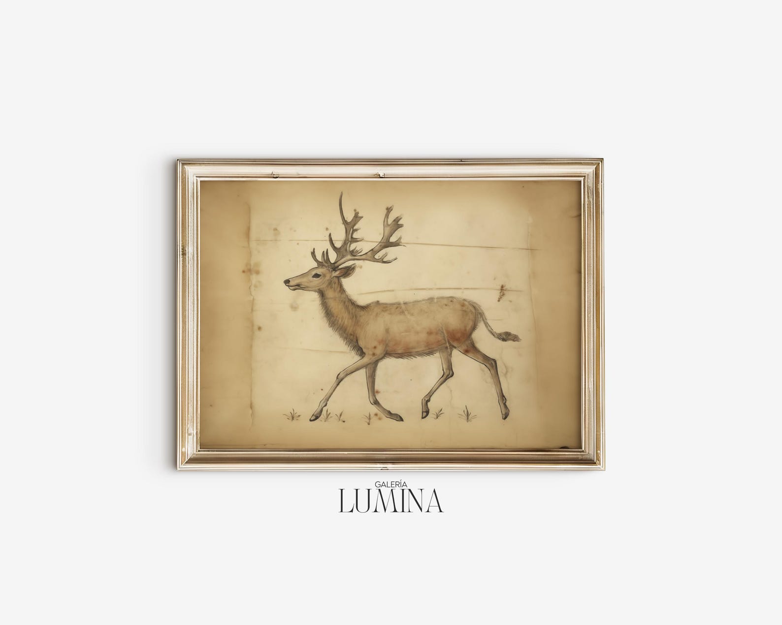 Old Deer Medieval Manuscript Sketch Vintage Stag Wall Art Antique Deer ...