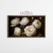Vintage White Roses Oil Painting Moody Floral Wall Art Dark Flower ...