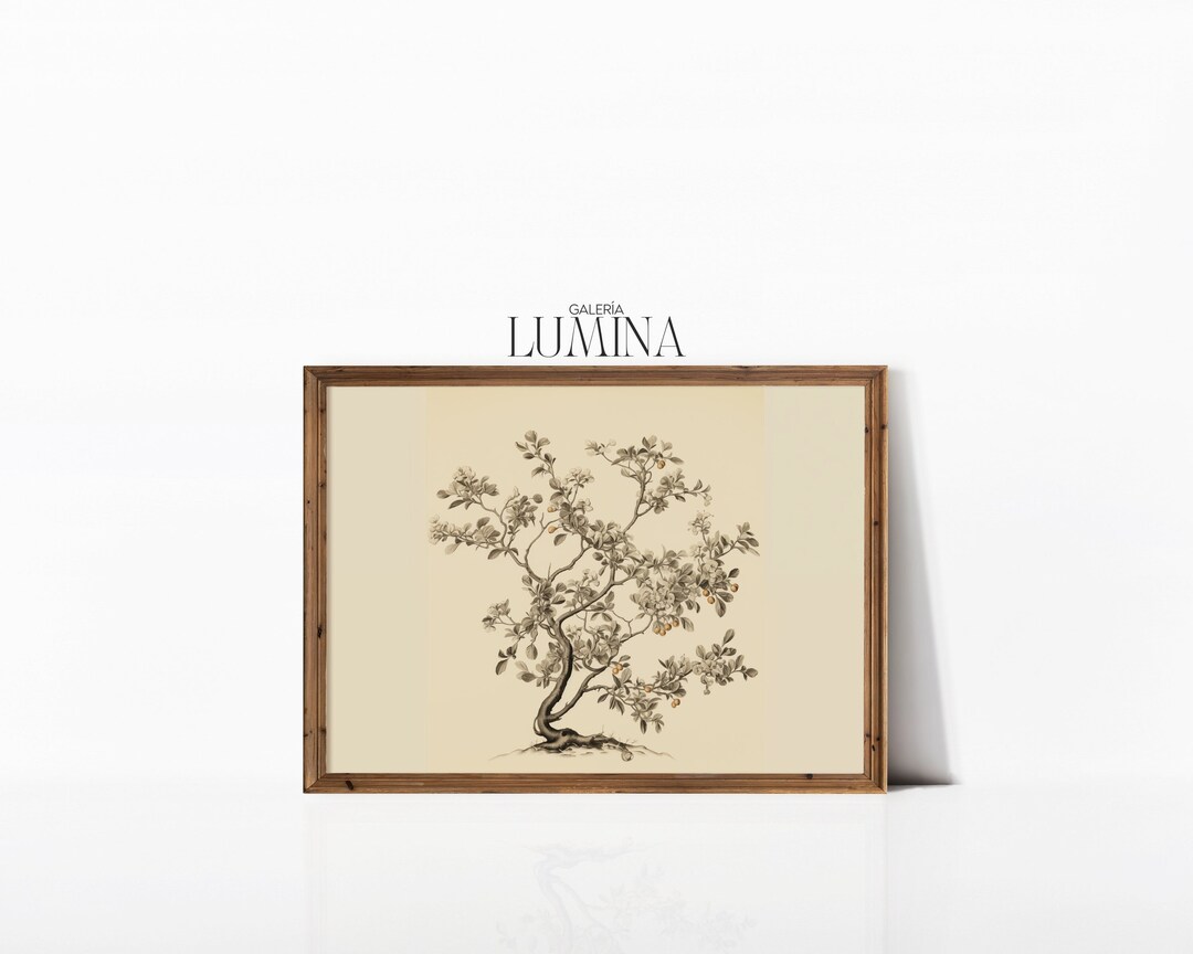 Antique Small Tree Drawing Vintage Botanical Print Neutral Branch ...