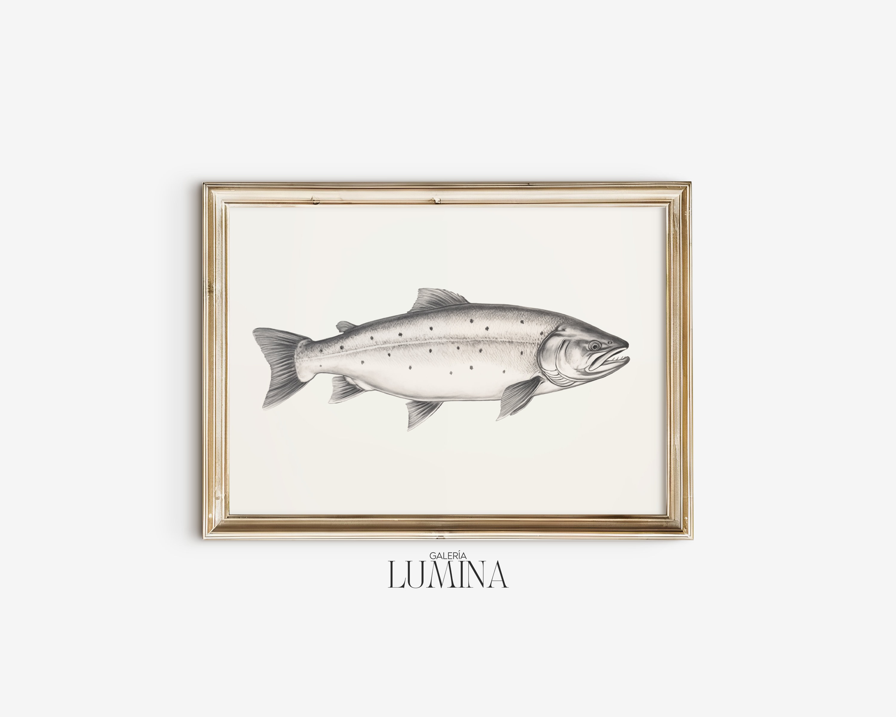 Minimalist Salmon Pencil Drawing Neutral Fish Illustration Salmon ...