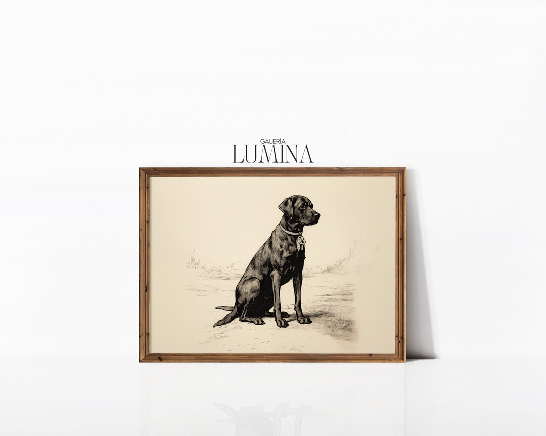 Black Dog Ink Drawing Black Labrador Print Vintage Dog Painting Antique ...