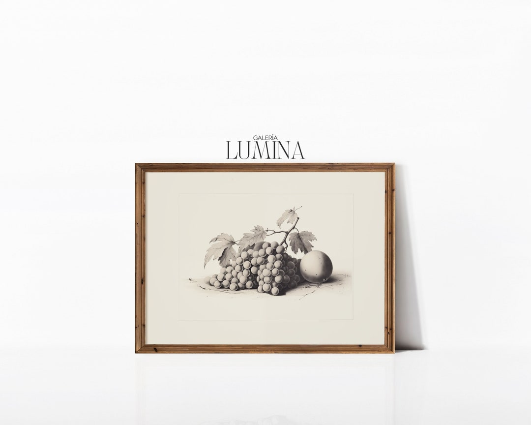 Fruit Still Life Etching Vintage Fruit Still Life Drawing Antique ...