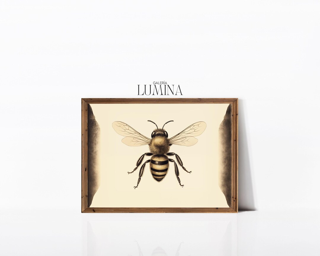 Honey Bee Drawing Nature Illustration Realistic Insect Artwork Bee Wall ...