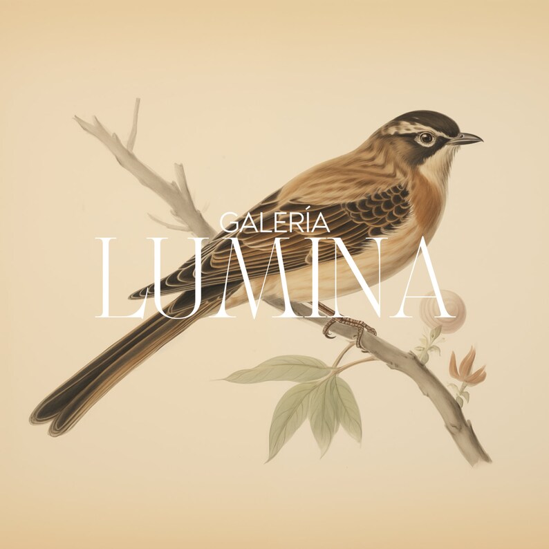 Vintage Brown Bird Drawing (digital Printable Art + Frame TV Art) 058 ...